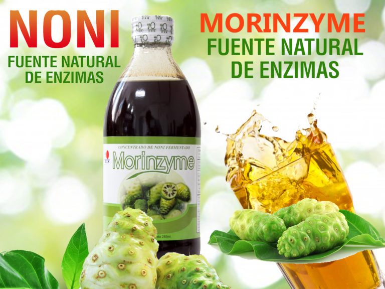 DXN Morinzyme Noni - Mejora tu metabolismo - Café Salud y Negocio