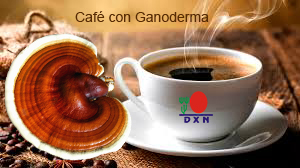 Café con Ganoderma – Café, Salud y Negocio